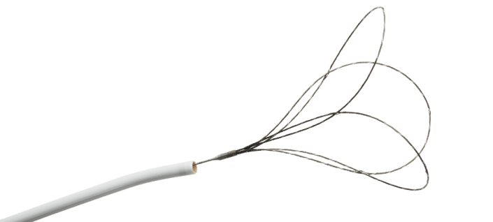 EN Snare®血管内陷阱系统- Merit医疗 - bob电博app