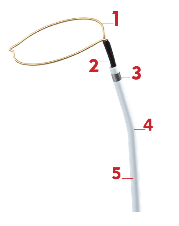 一个陷阱系统 - 挑战解剖学的LV铅交付选项 - bob电博app